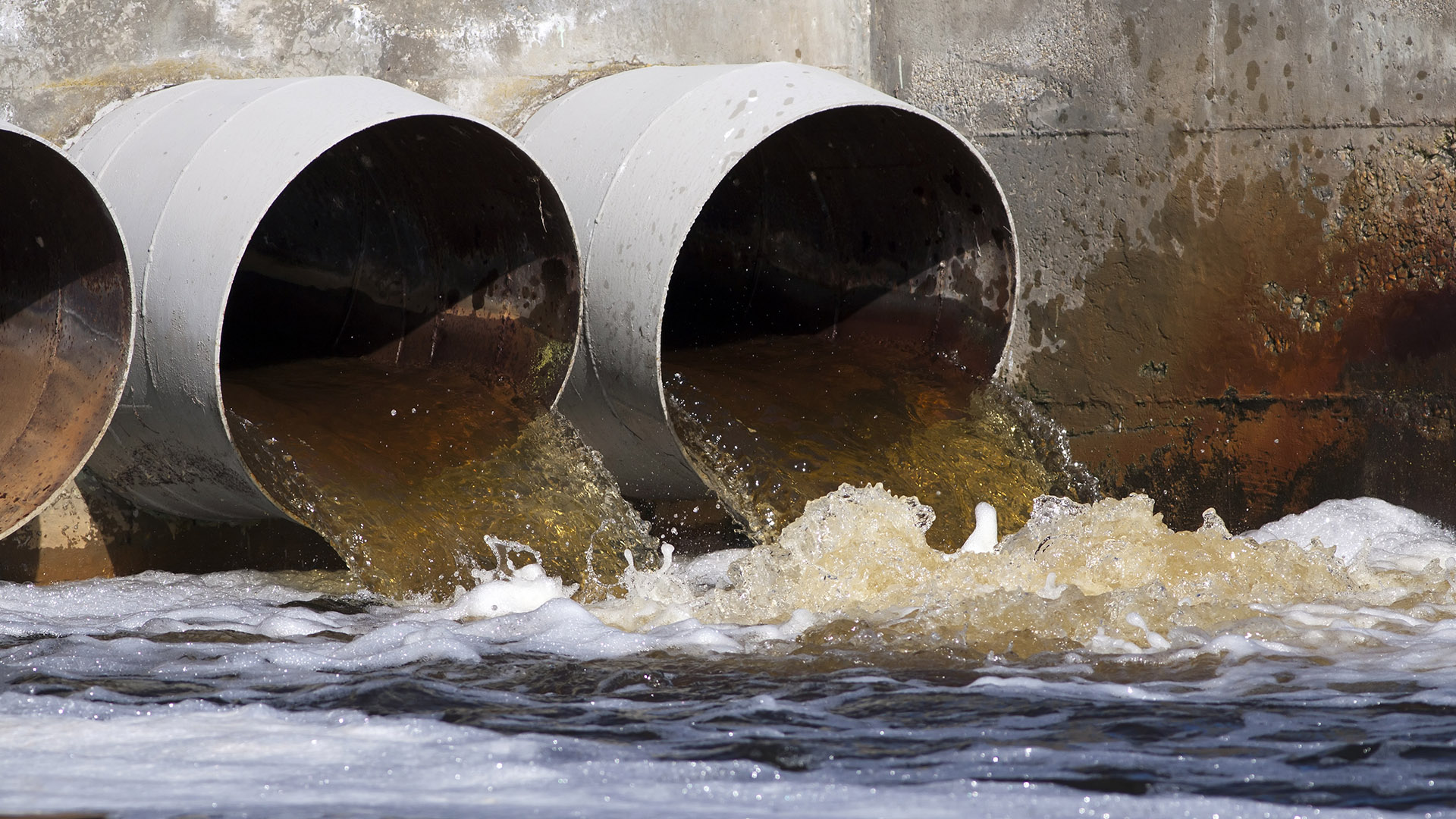Turning City’s Sewage to Drinking Water: LA has a Lofty Goal